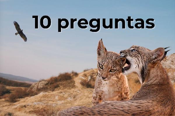 ¿Cuánto sabes de la fauna en España? - WWF España